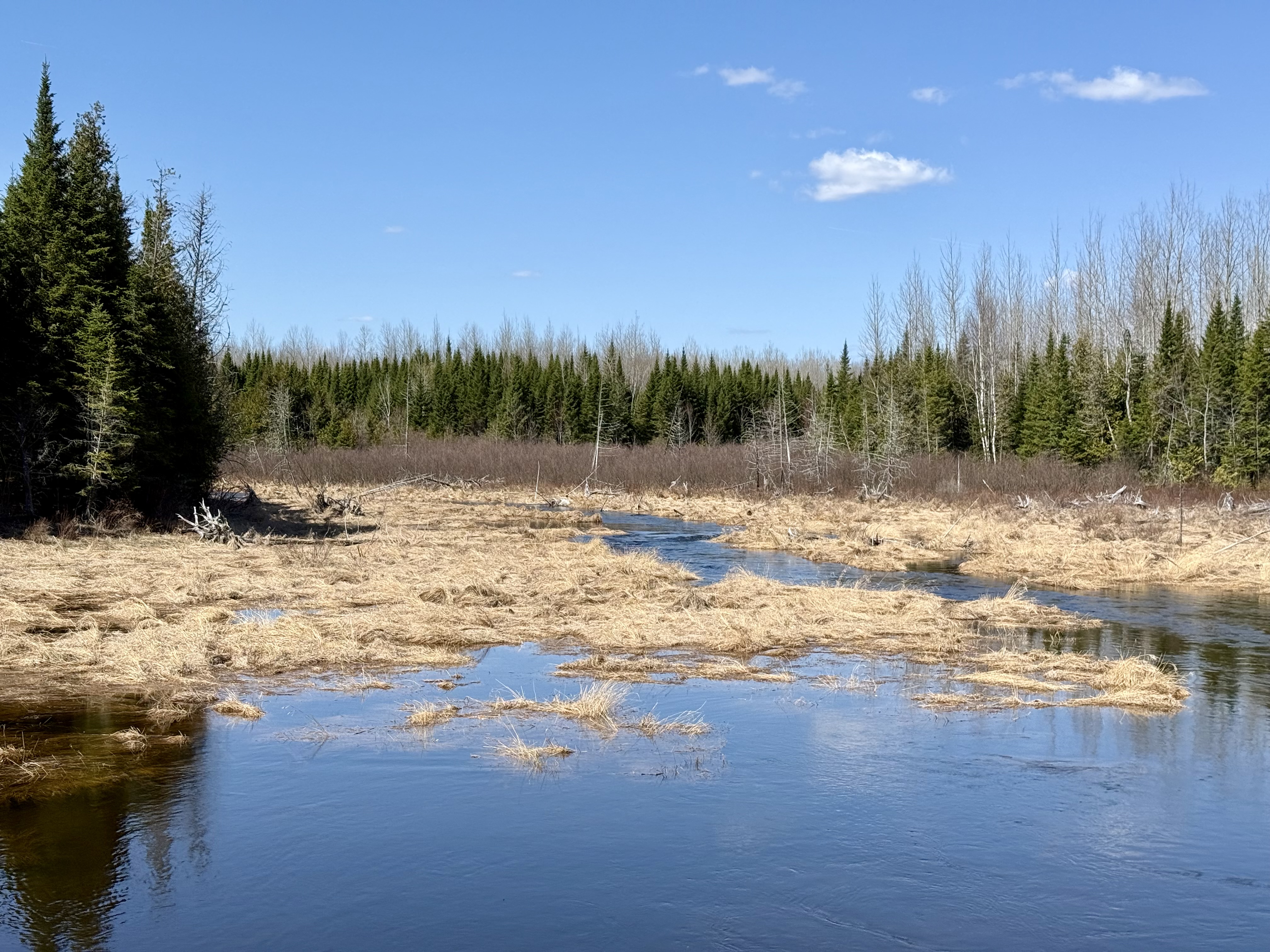 Woods and wetlands near community centers | Dawnland Return