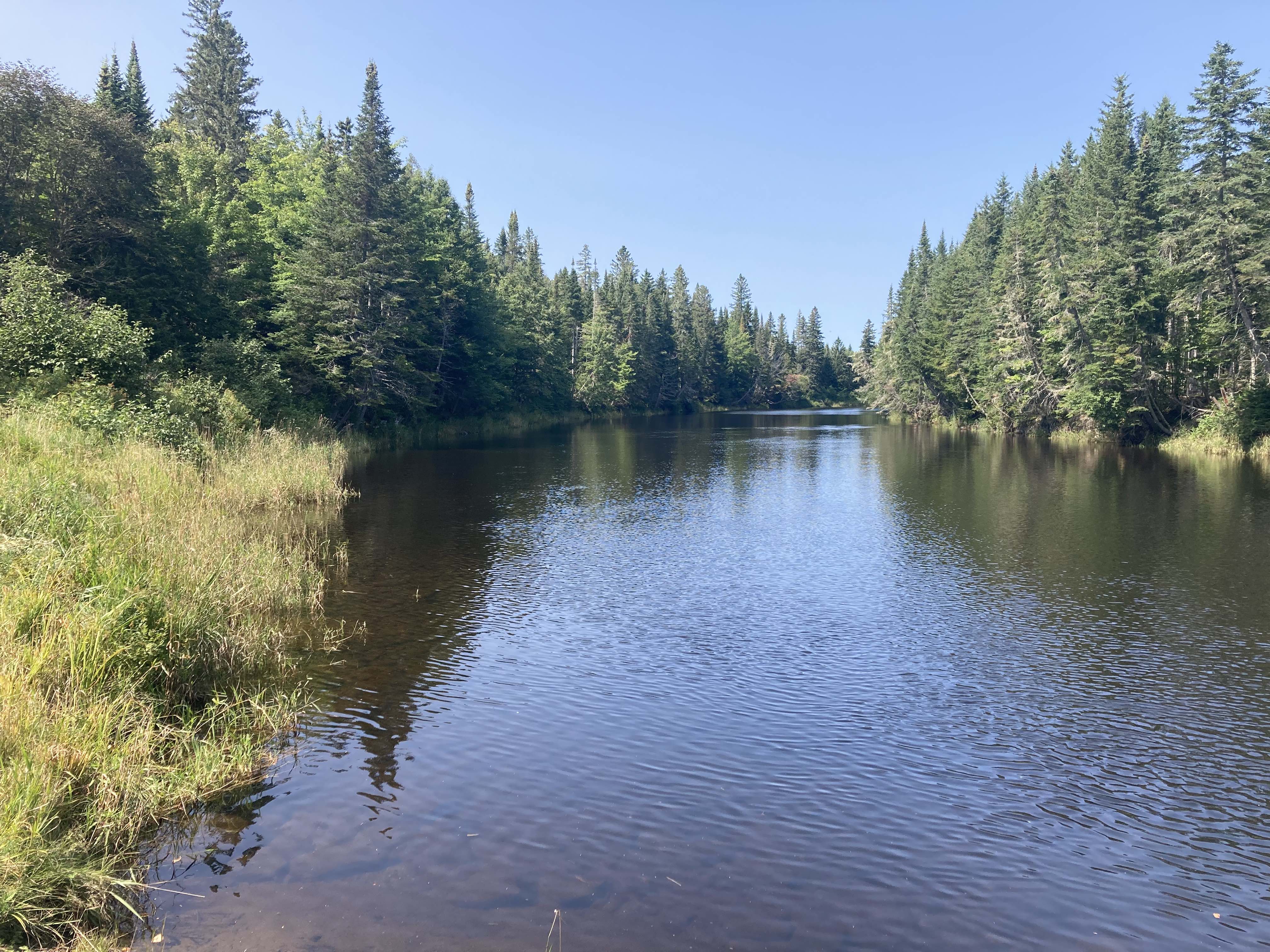 Linking and expanding forest lands on the South Branch of the Penobscot ...