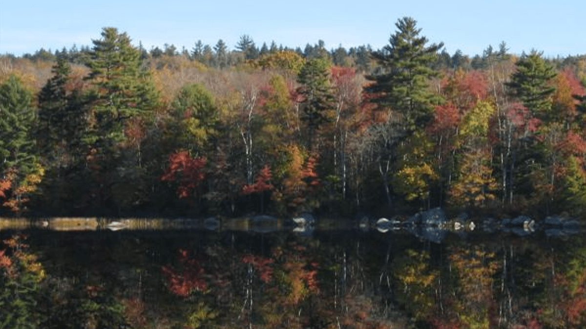 Waterfront abutting Tribal lands on Patten Pond | Dawnland Return